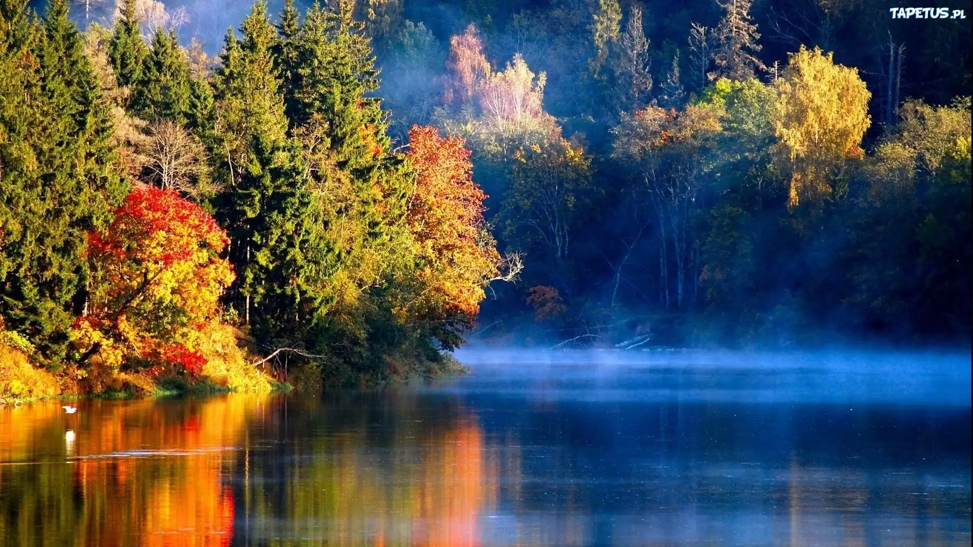 Jesienne, Drzewa, Jezioro, Mgła Jesienne, Drzewa, Jezioro, Mgła