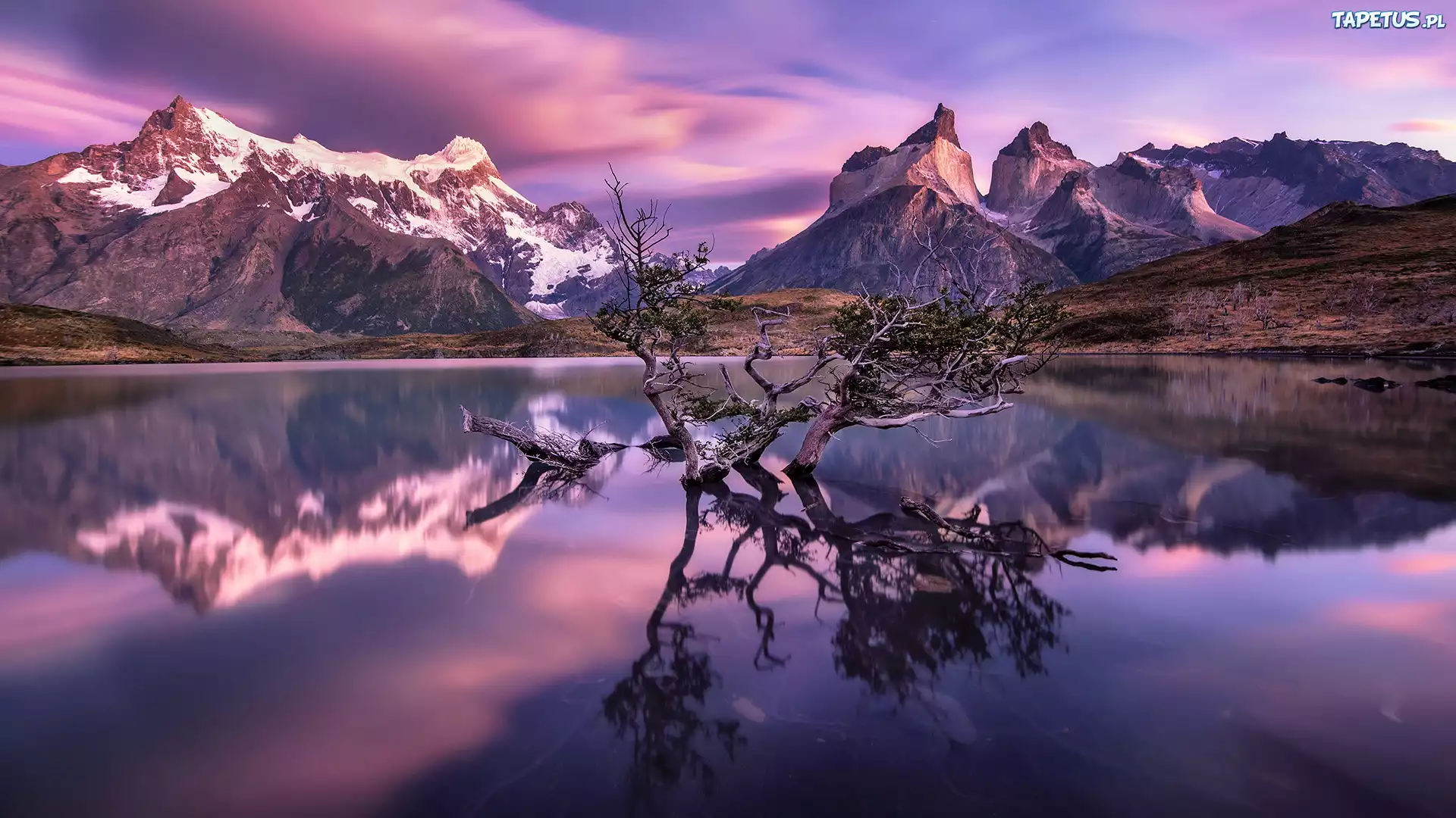 Park Narodowy Torres Del Paine Jezioro Pehoe G ry Cordillera Del Park Narodowy Torres Del Paine Jezioro Pehoe G ry Cordillera Del